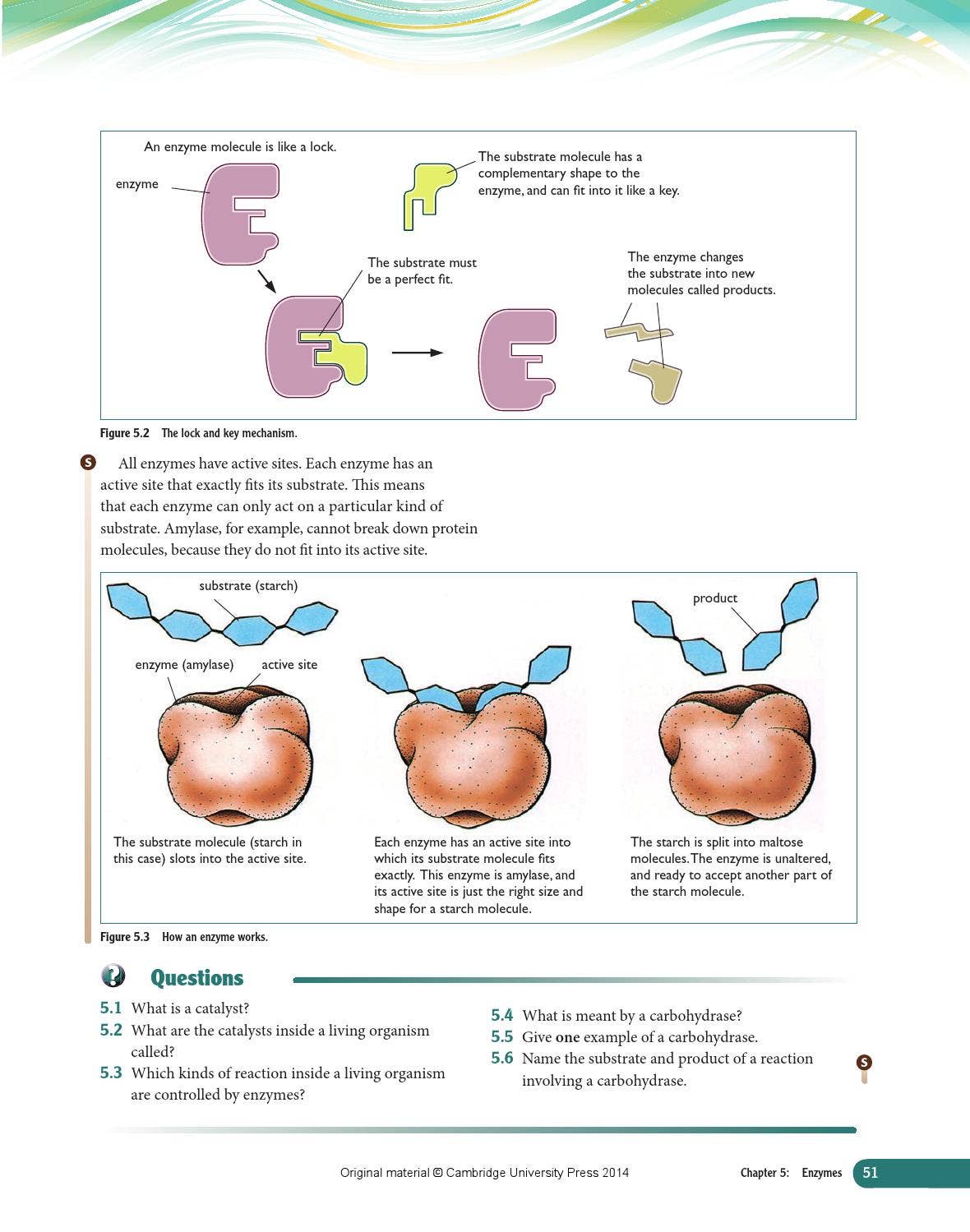 Cambridge IGCSE Biology Coursebook (third edition) by Cambridge ...