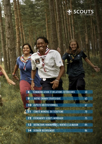 Comité Mondial du Scoutisme, RAPPORT TRIENNAL 2011 - 2014 by World ...