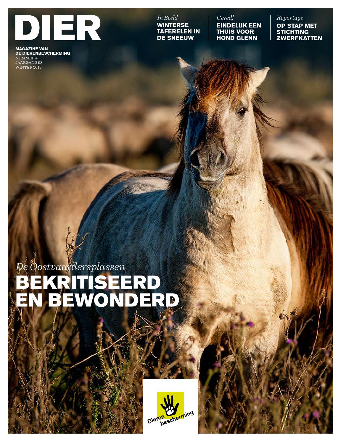 Dier 4 2013 by Martin Raven - Issuu