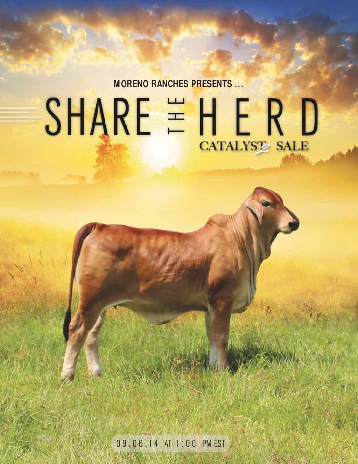 The Brahman Catalyst Sale II at Moreno Ranches by Cattle In Motion, LLC ...