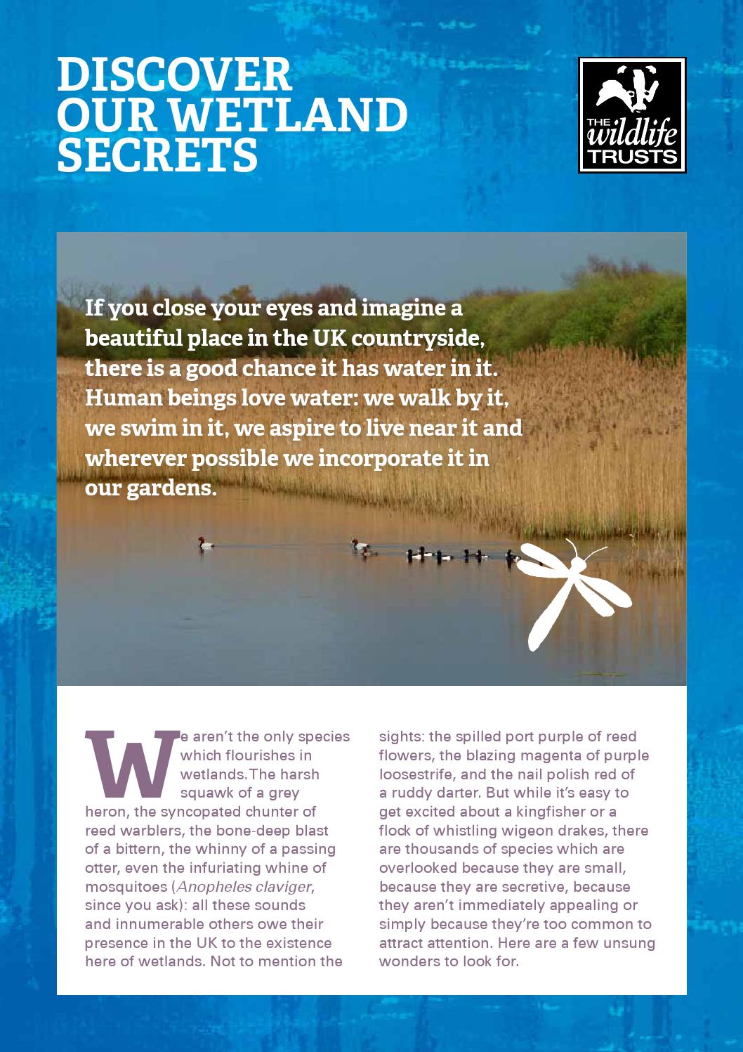 Our wetland secrets by The Wildlife Trusts - Issuu