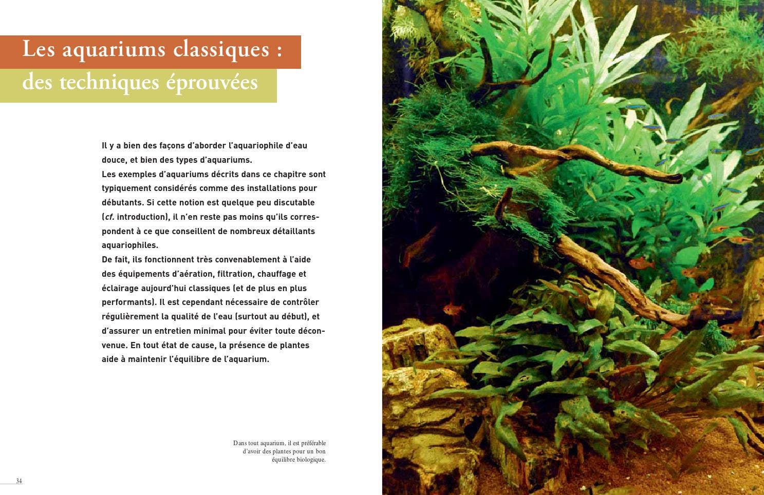 Extrait L'aquarium d'eau douce - Éditions Ulmer by Éditions Ulmer - Issuu
