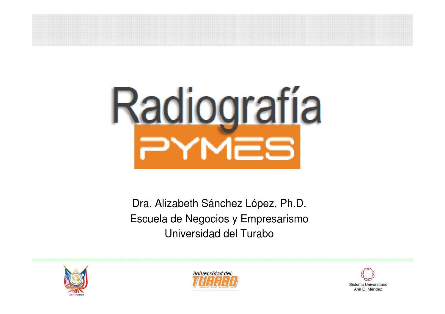 Presentación - Primera radiografía del comercio Pymes en Puerto Rico by ...