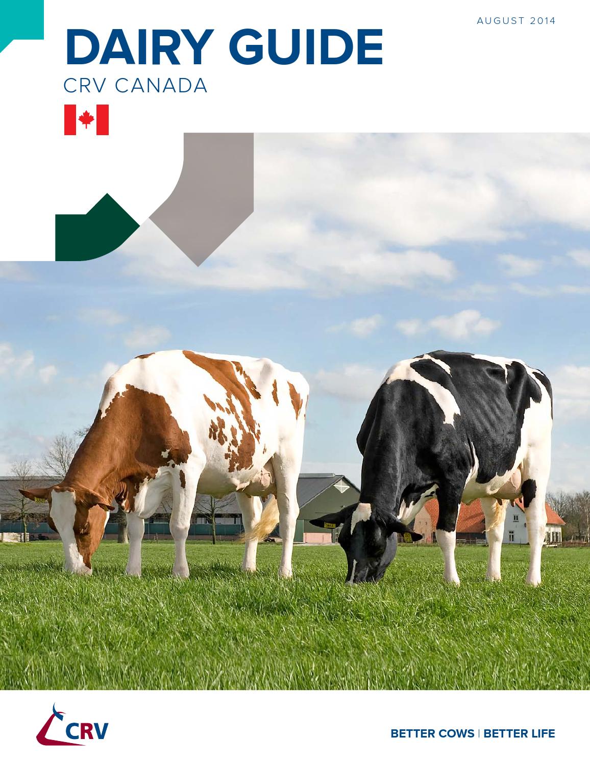 Dairy guide CRV Canada august 2014 by CRV Global Sales - Issuu
