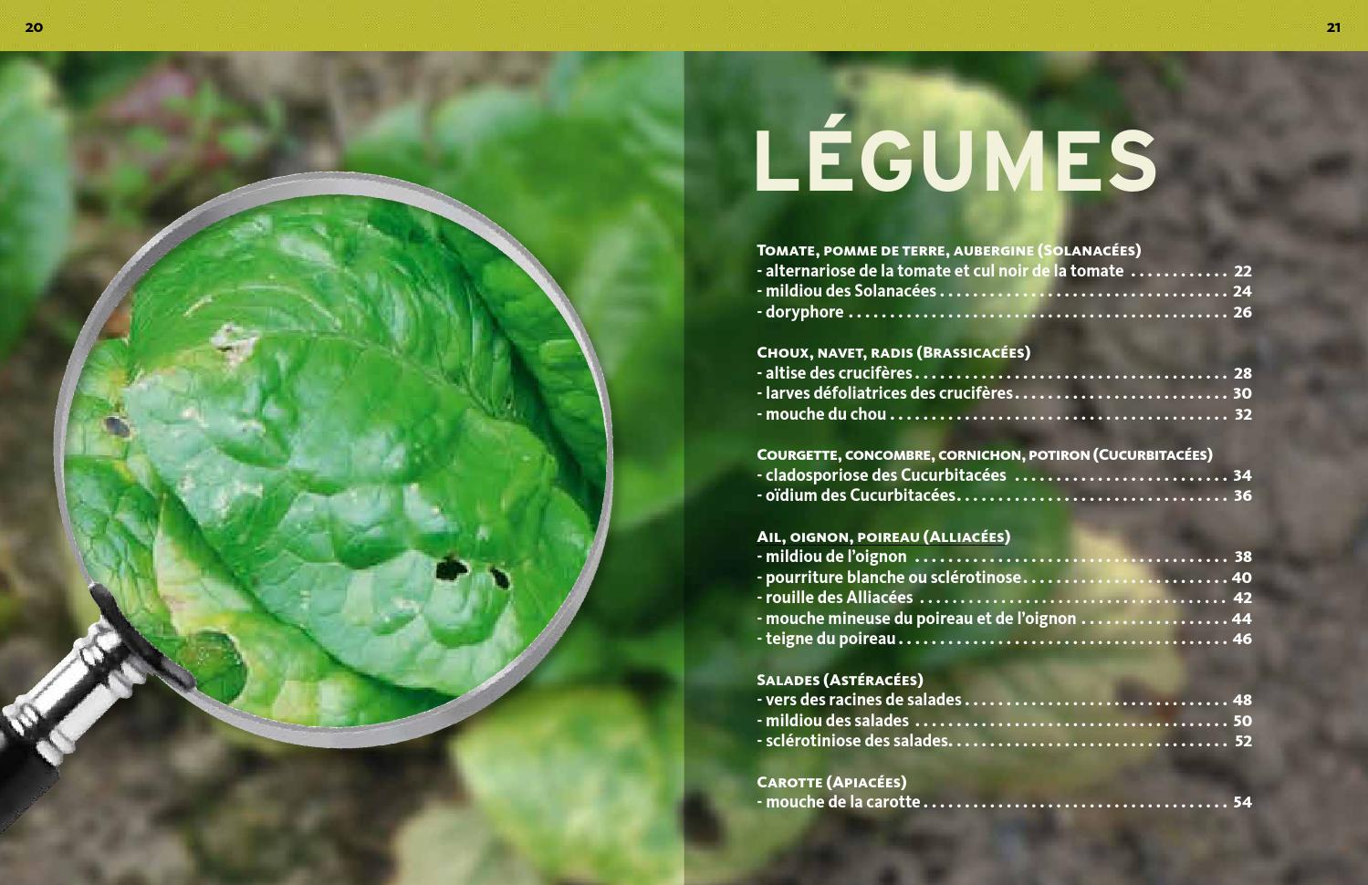 Extrait Les 50 plaies du jardinier - Éditions Ulmer by Éditions Ulmer - Issuu