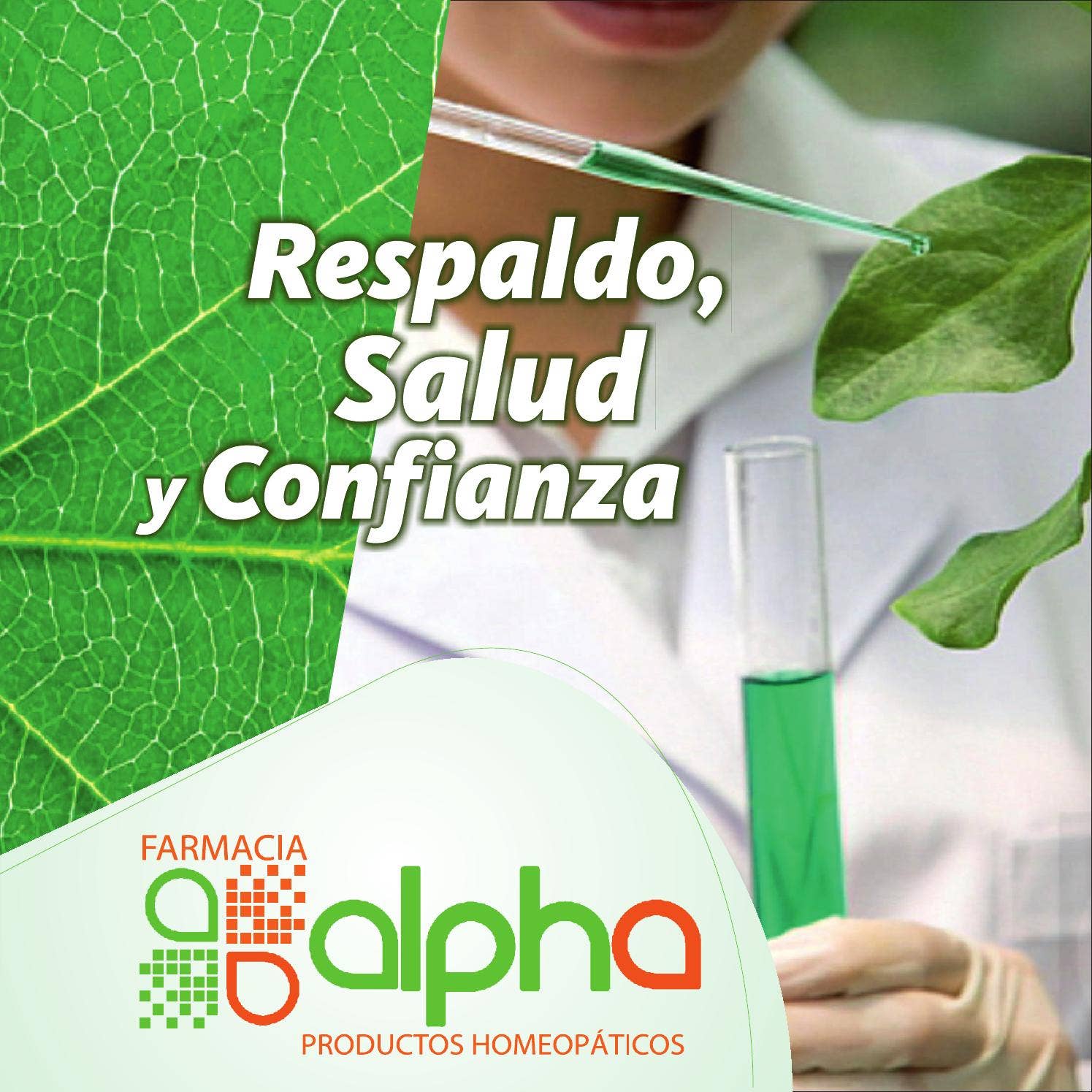 Alpha Brochure by Ultravioleta studio - Issuu