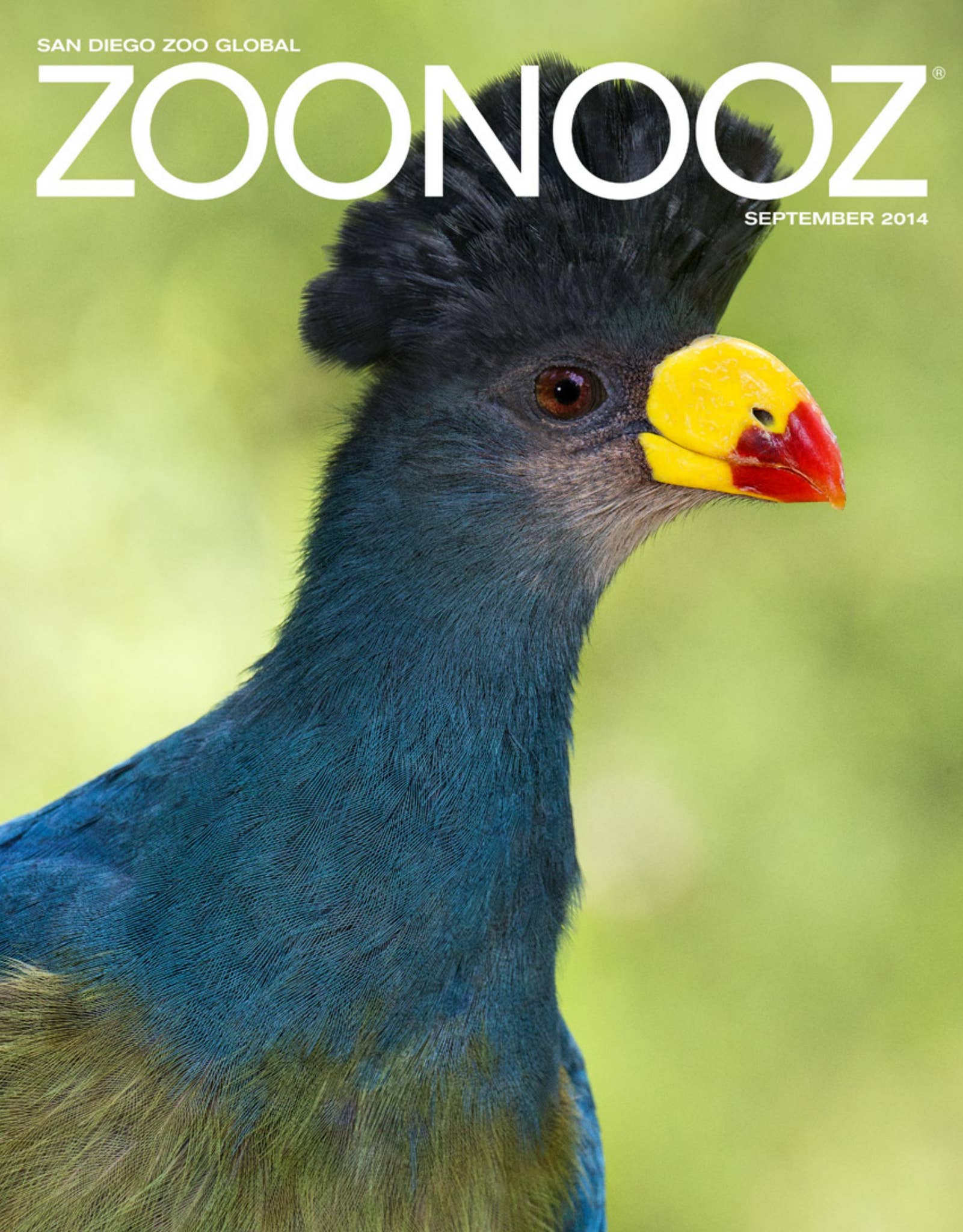 ZOONOOZ September 2014 by San Diego Zoo Wildlife Alliance - Issuu
