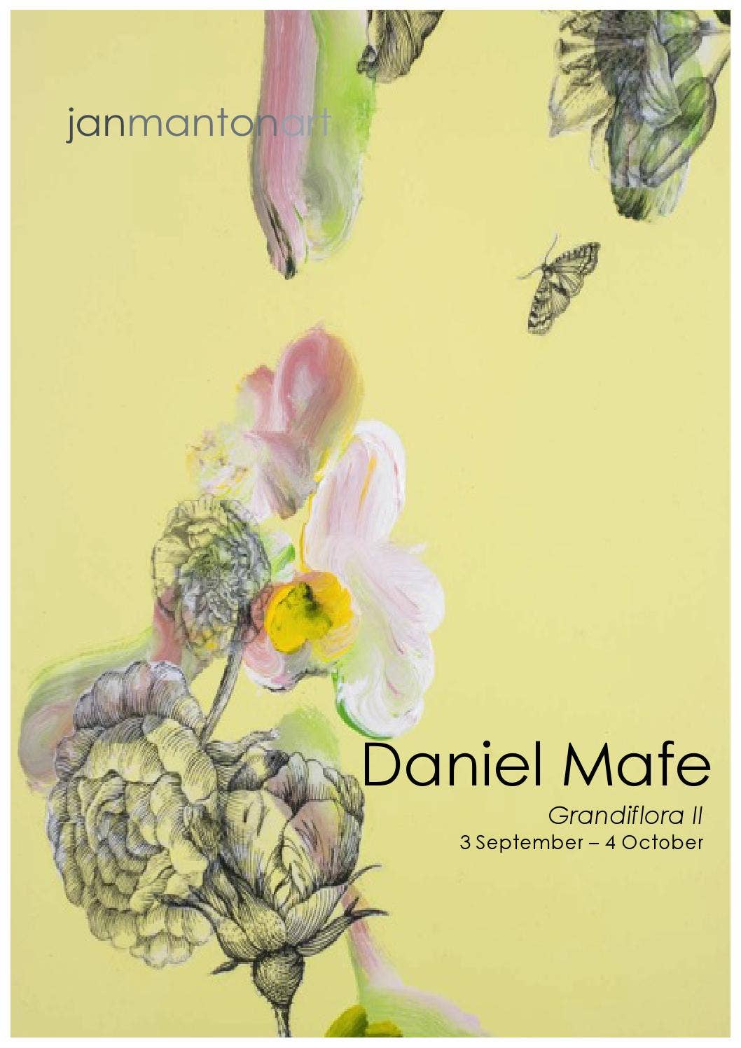 Daniel Mafe : Grandiflora II by Jan Manton Gallery - Issuu