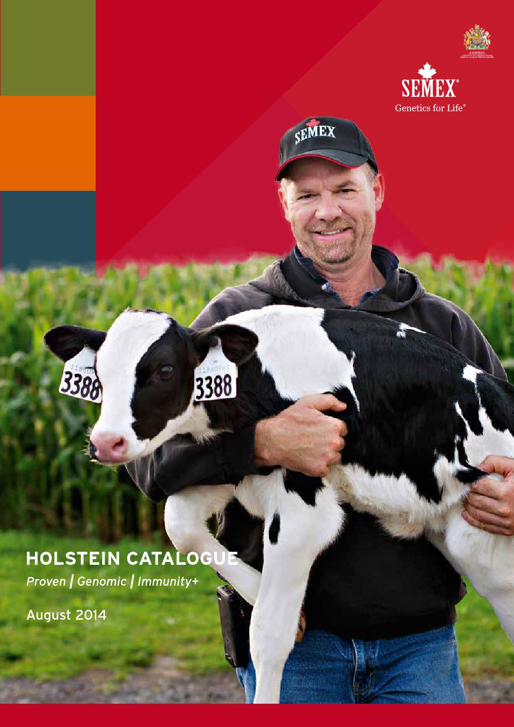 Semex UK - Holstein Sire Directory August 2014 by Semex - Issuu