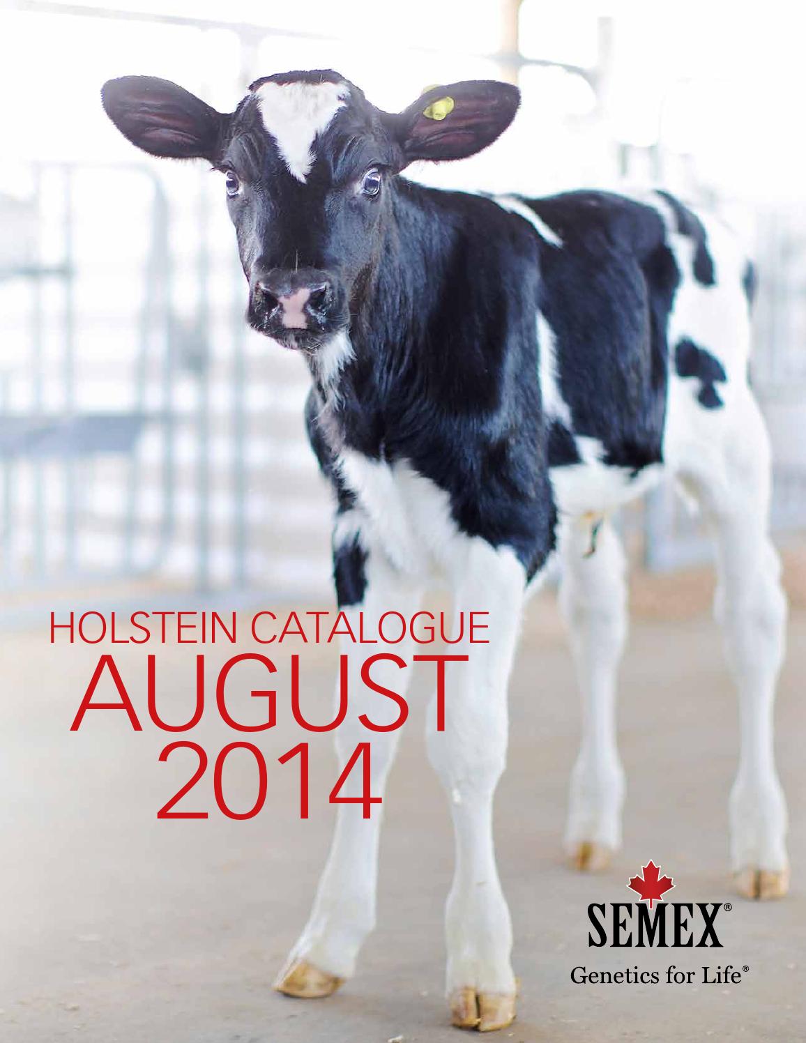 Semex August 2014 International Holstein Catalogue by Semex - Issuu