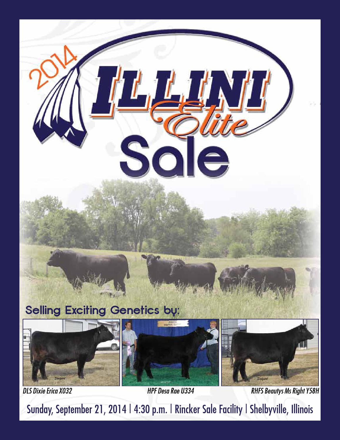 2014 Illini Elite Sale Catalog by Ranch House Designs - Issuu