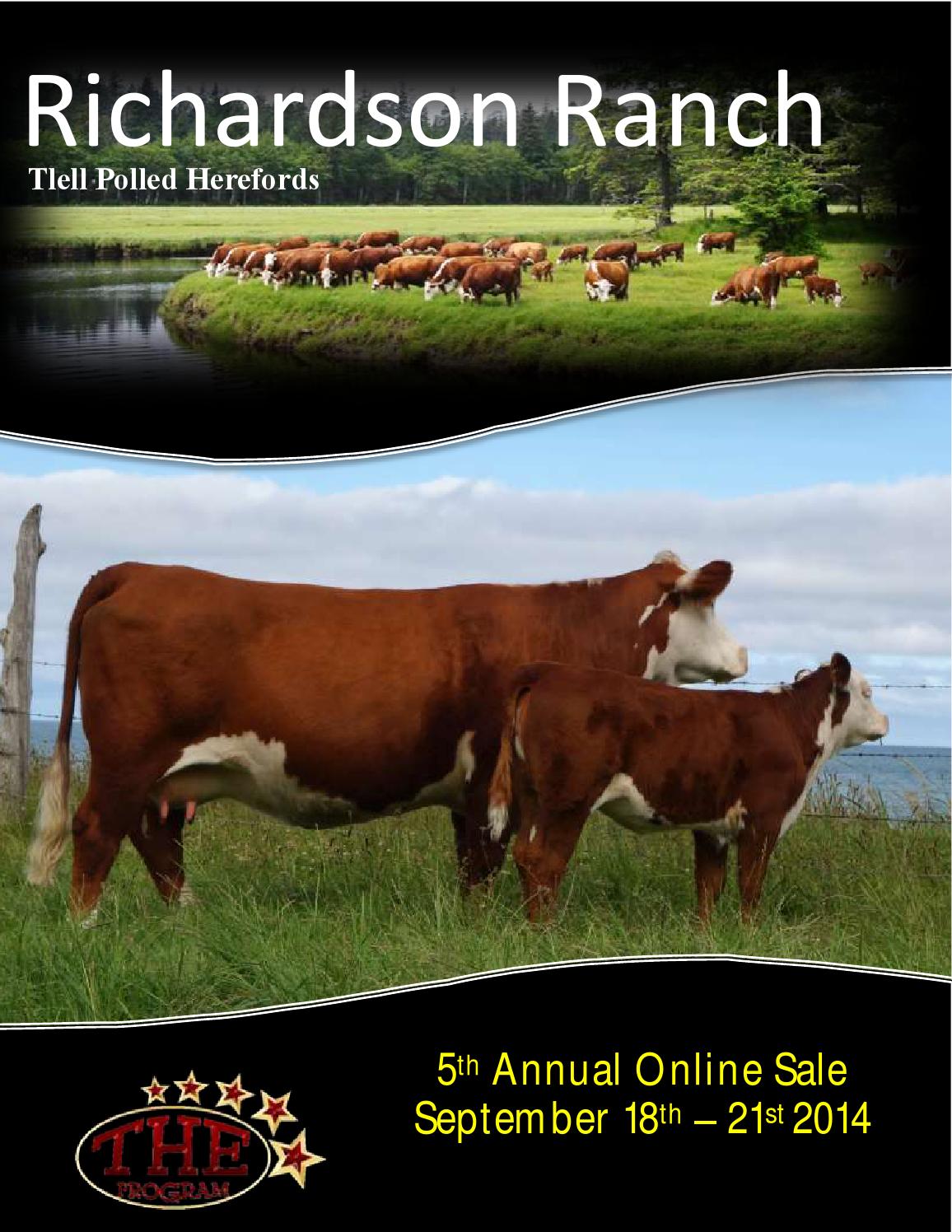 RICHARDSON RANCH 5th Annual Online Sale by Don Richardson - Issuu