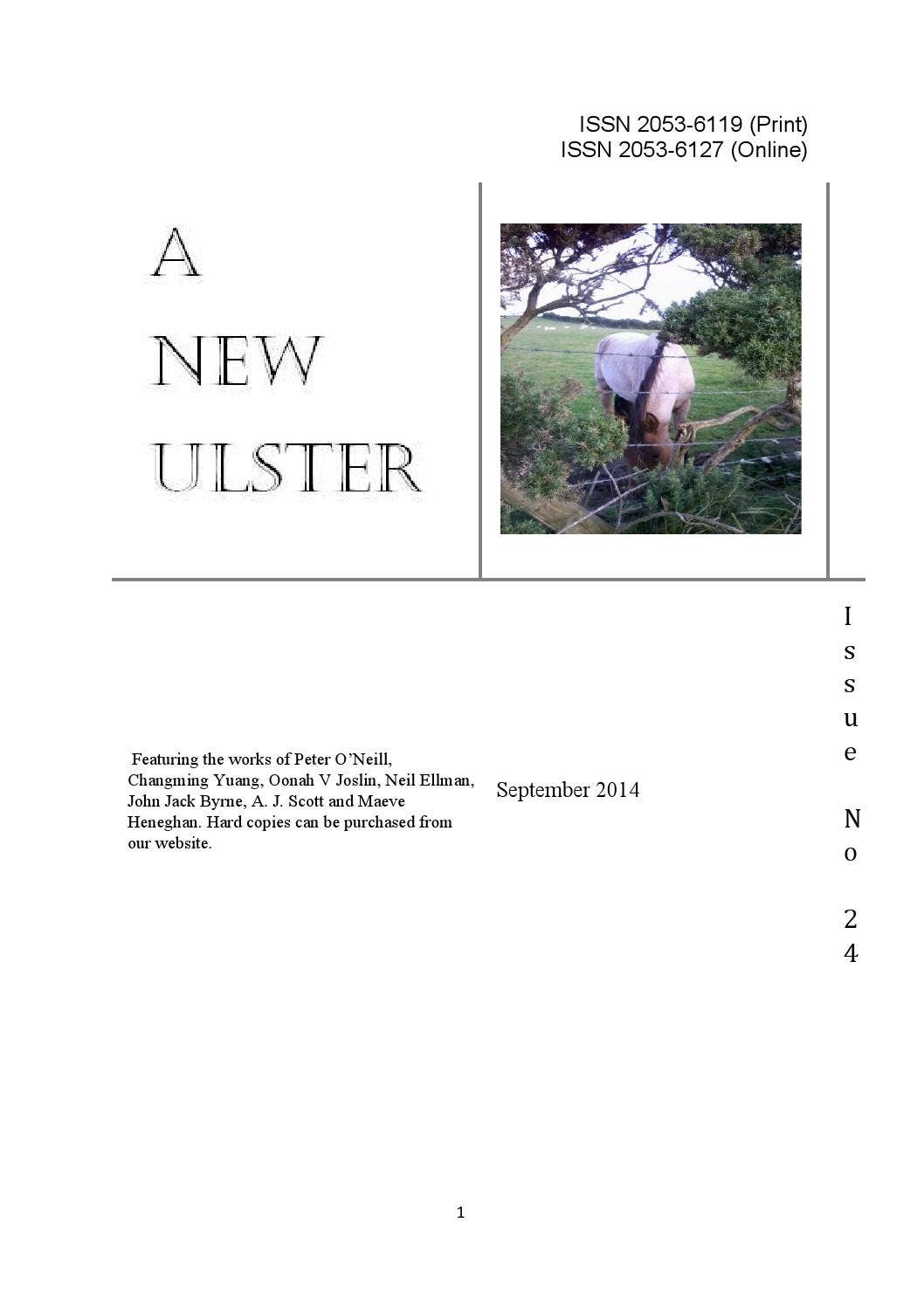 A New Ulster / ANU24 by Amos Greig - Issuu
