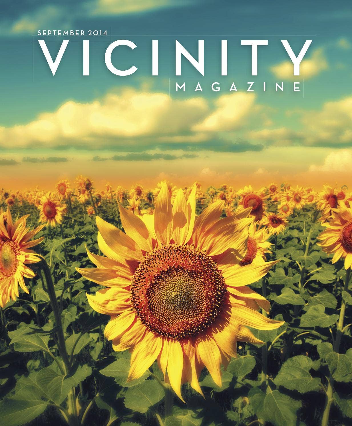 Vicinity Magazine by Vicinity Media Group - Issuu