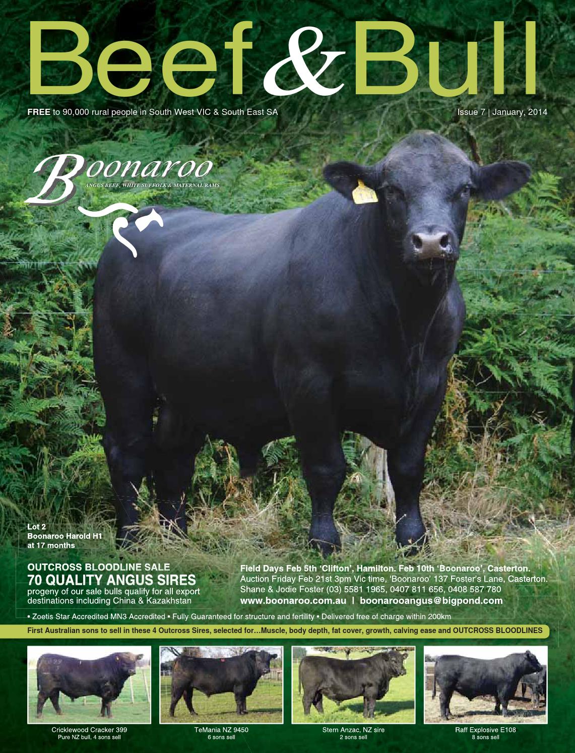 Beef & Bull magazine Issue 7 by Crocmedia Lifestyle1 - Issuu