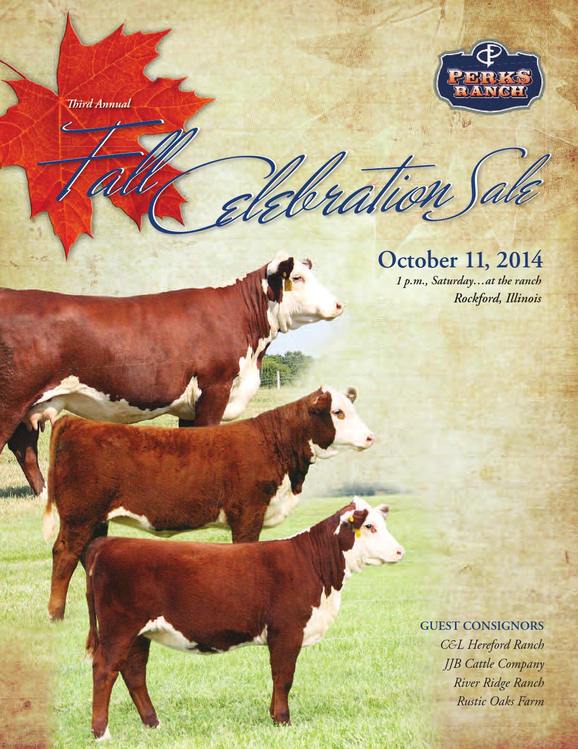 2014 Perks Ranch Sale Catalog by Ranch House Designs - Issuu