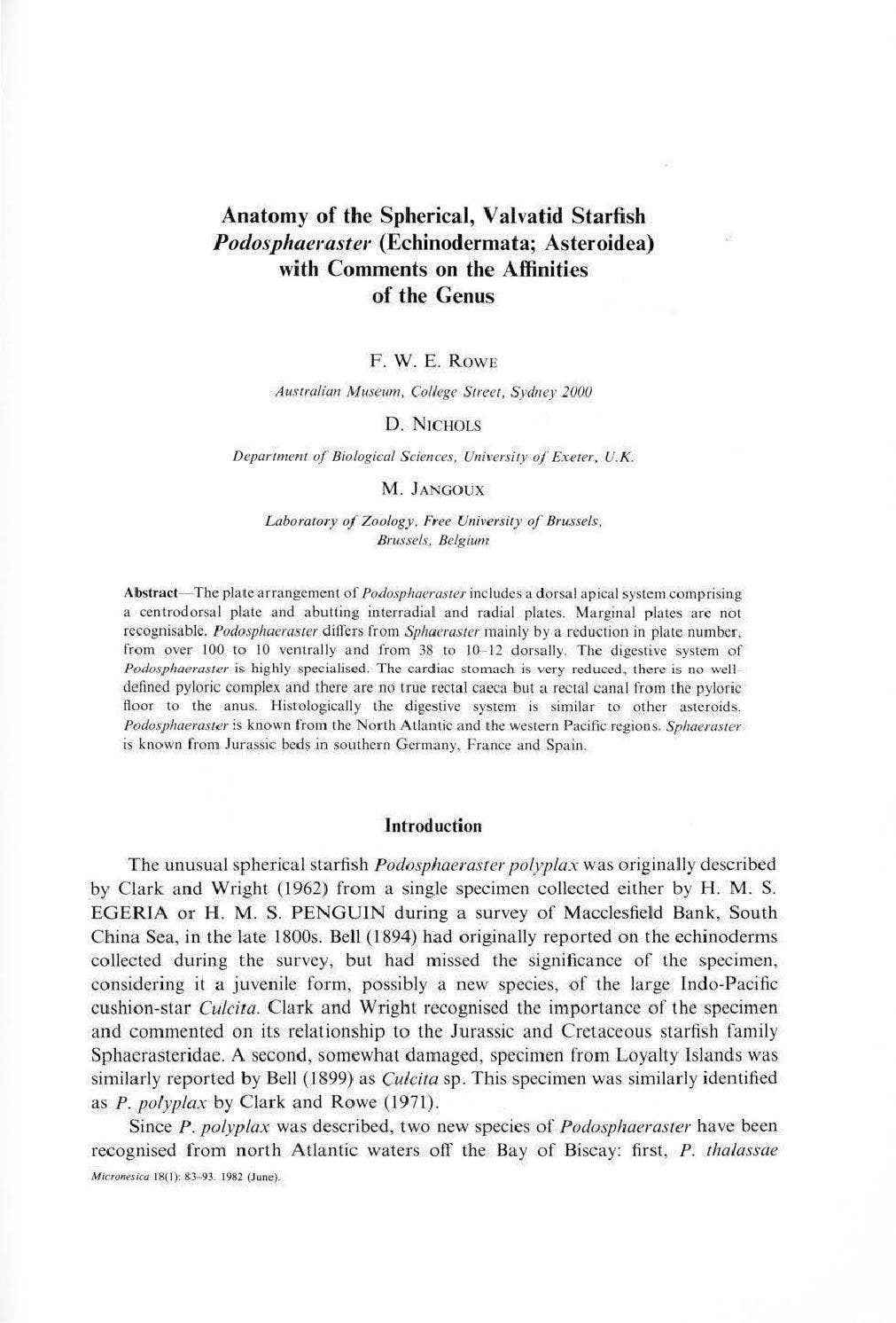 Anatomy of the spherical, valvatid starfish Podosphaeraster by MARC - Issuu