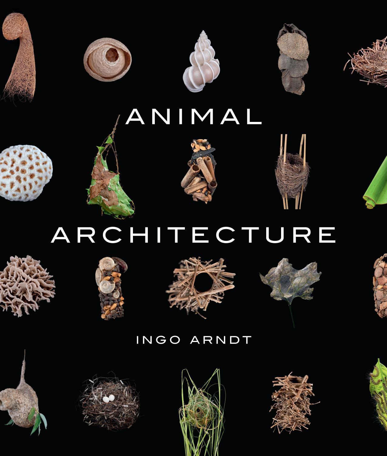 Animal Architecture by Abrams&ChronicleBooks - Issuu