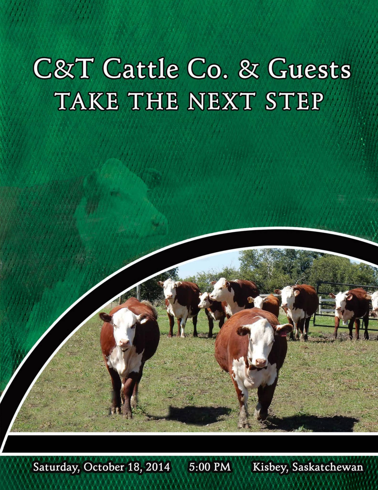 C&T Cattle Co Take the Next Step Sale by Cattle In Motion, LLC - Issuu