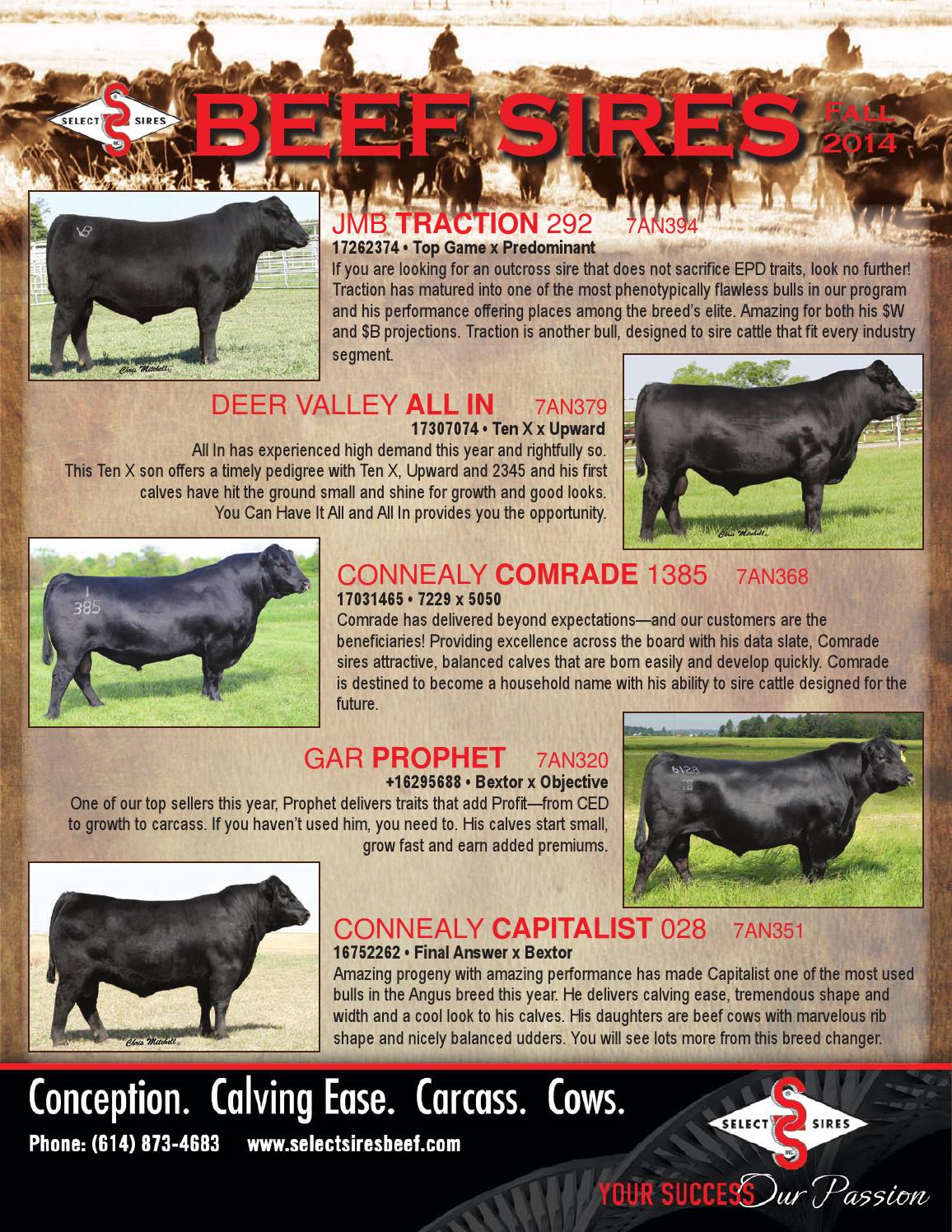2014 Fall Beef Flyer A by Kim West - Issuu