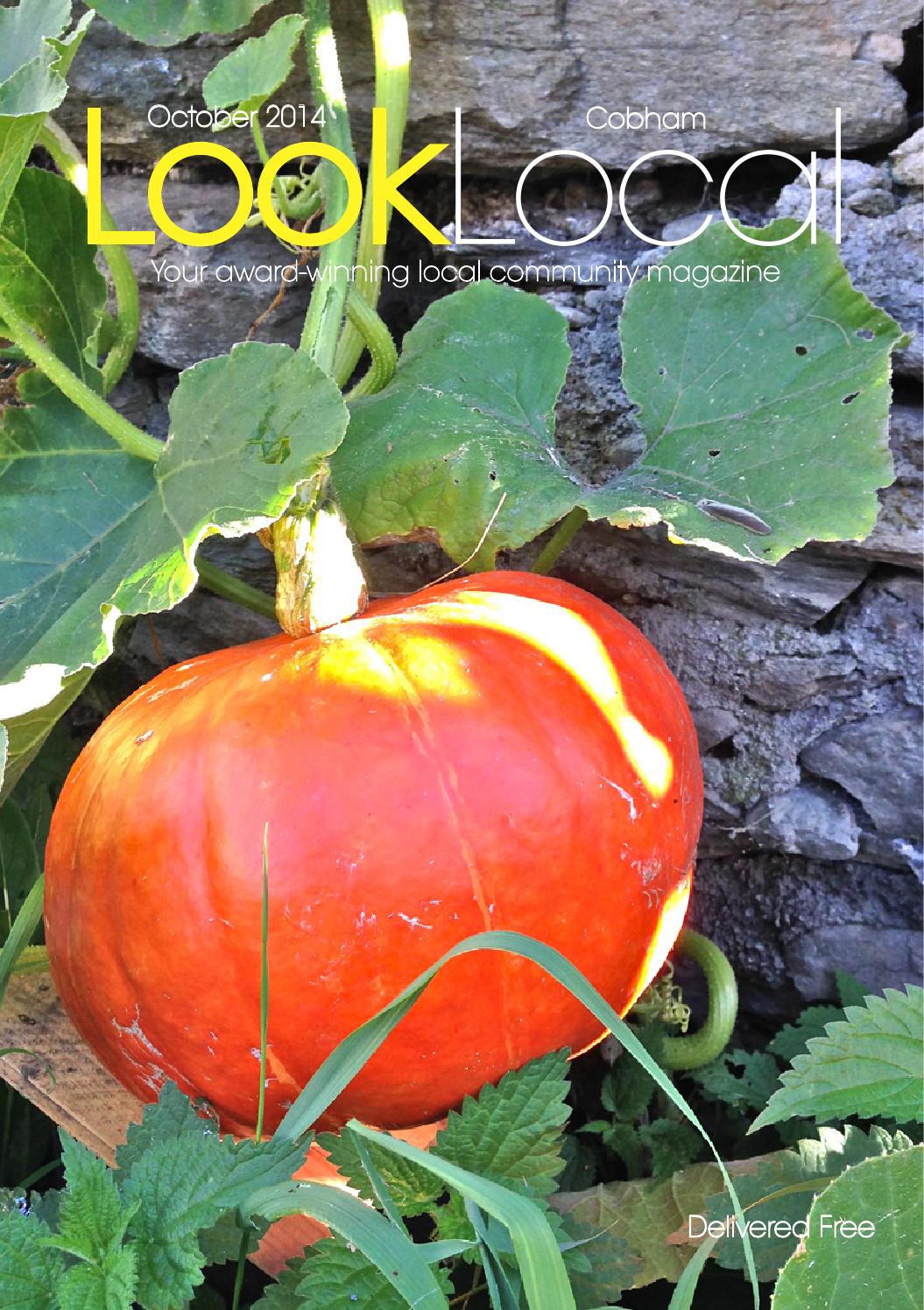 Look Local Magazine by Look Local Magazine - Issuu