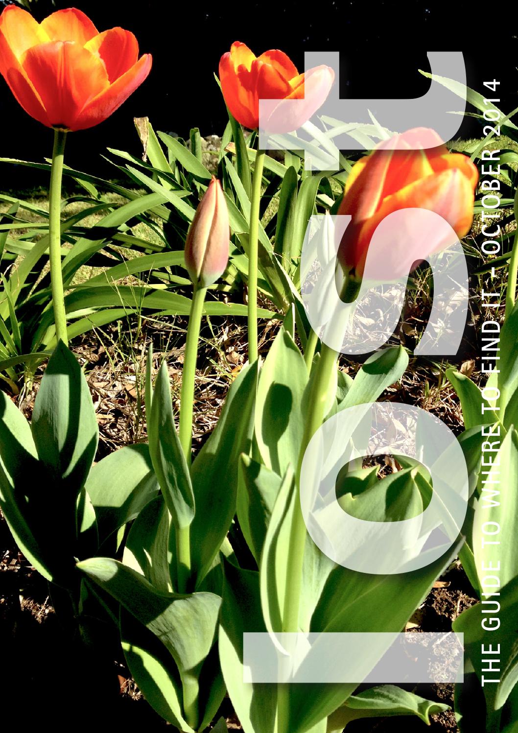 lost magazine October 2014 by Lost Magazine - Issuu