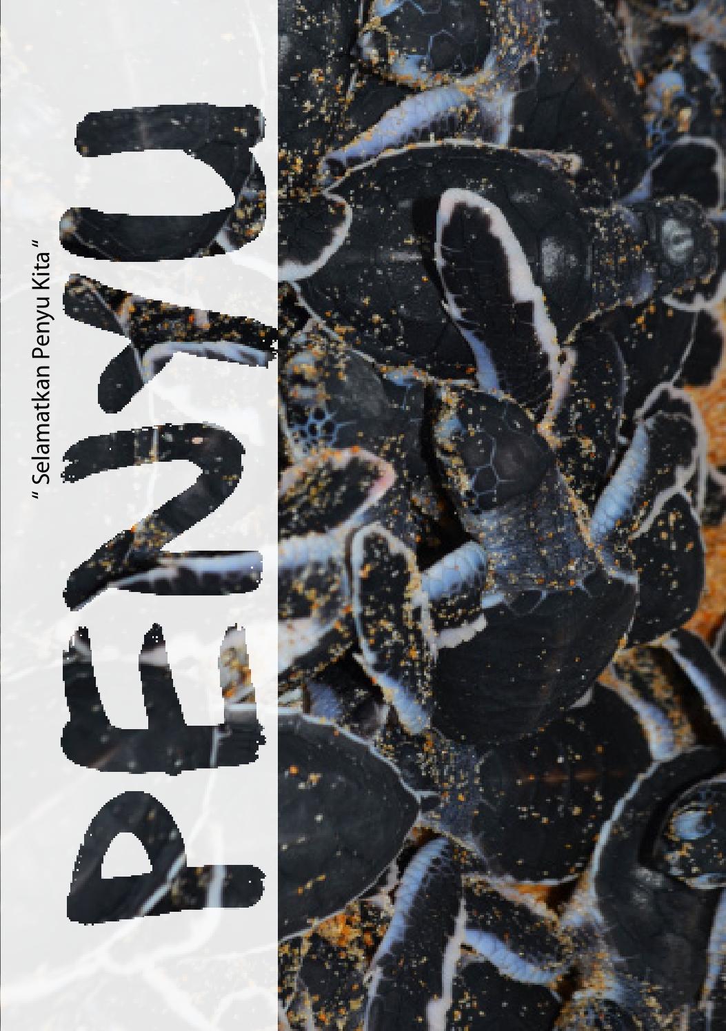 Turtle magazine create outline by yaya - Issuu