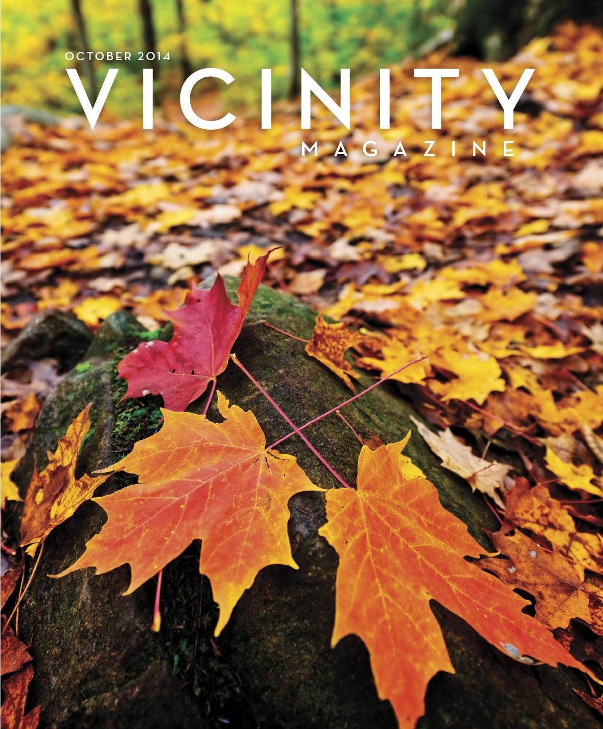 Vicinity Magazine by Vicinity Media Group - Issuu