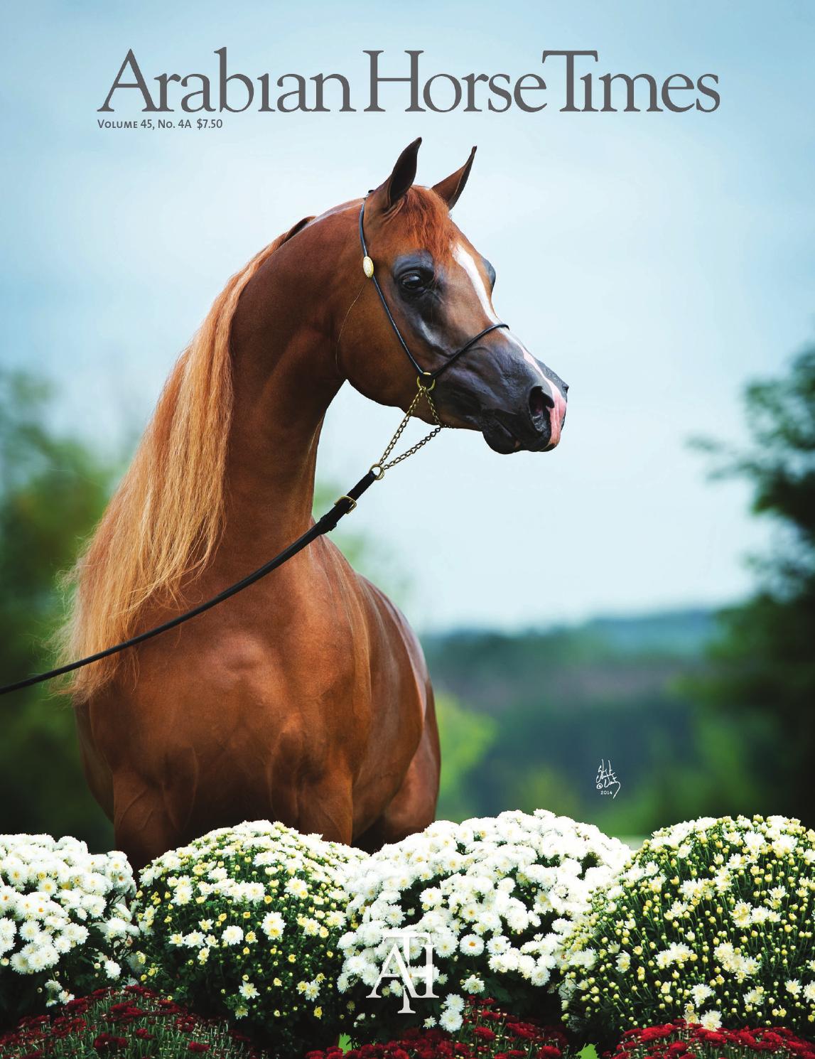 Arabian Horse Times - Vol45No4 - A by Arabian Horse Times - Issuu