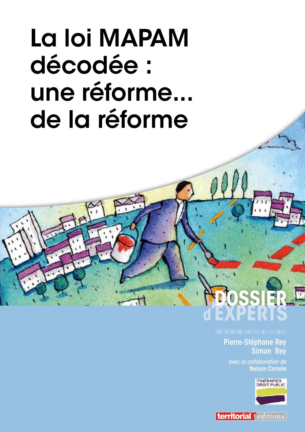 La loi MAPAM décodée : une réforme… de la réforme by INFOPRO DIGITAL ...