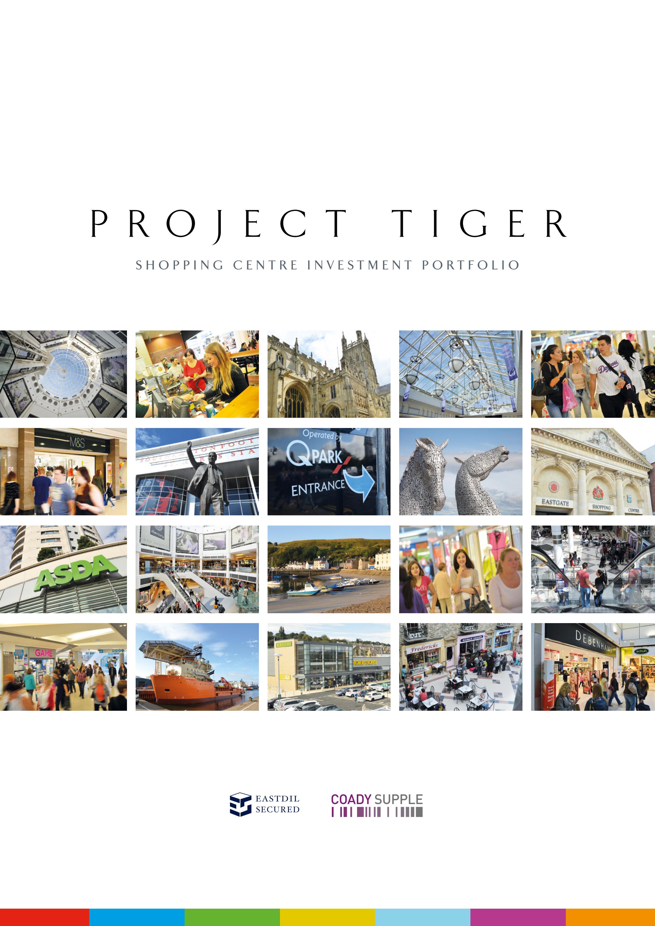 Project Tiger Summary Brochure V1.1 by Creativeworld - Issuu