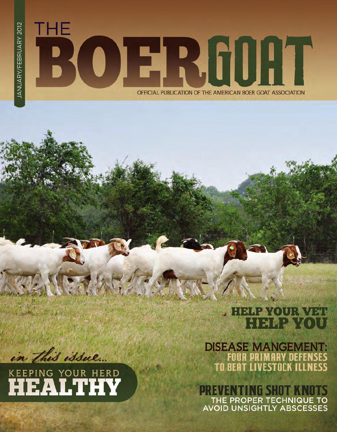 The Boer Goat January/February 2012 by American Boer Goat Association ...