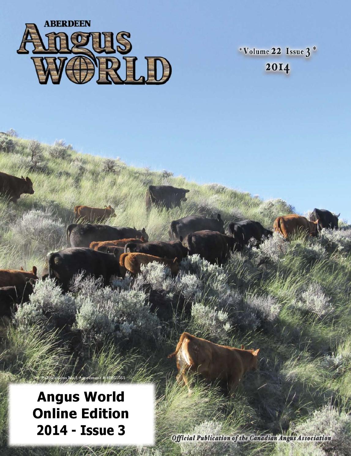 Angus World 2014 Volume 22 Issue 3 by Everything Angus - Issuu