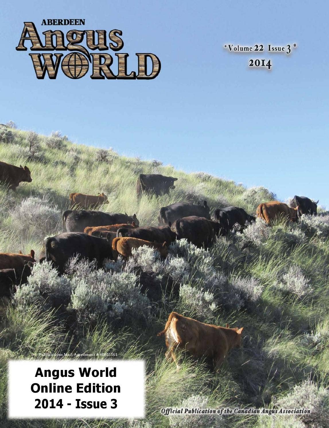 Angus World 2014 Volume 22 Issue 3 by Everything Angus - Issuu