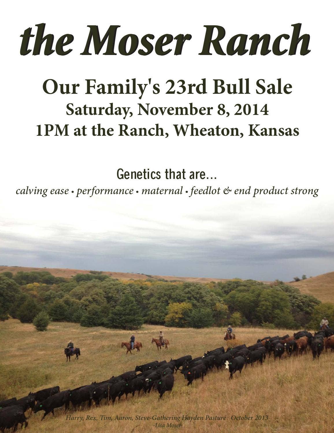 The Moser Ranch - 23rd Annual Bull Sale by LivestockDirect - Issuu
