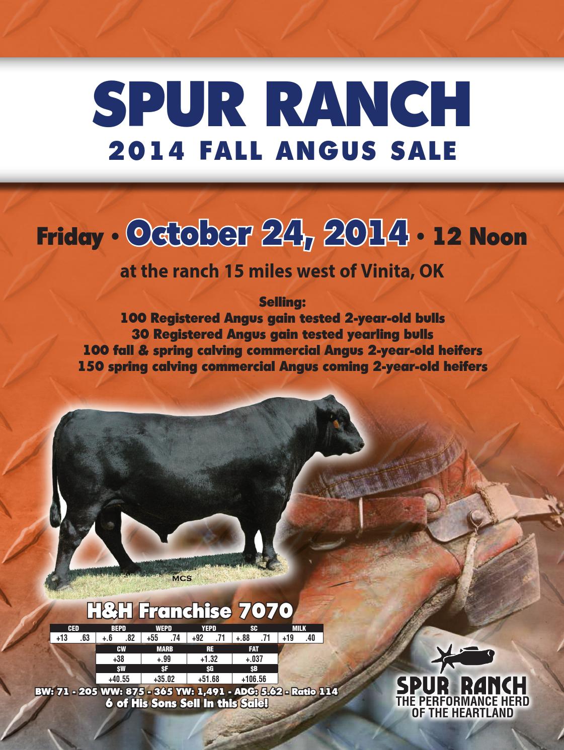 Spur Ranch Catalog by Tracy McMurphy - Issuu