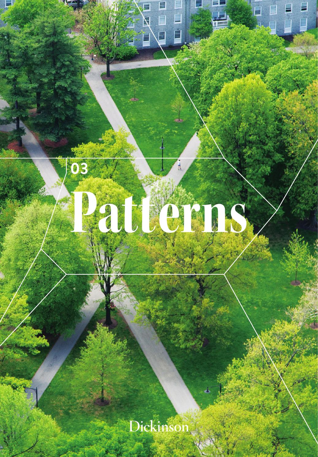 Patterns 2014 by Dickinson College - Issuu