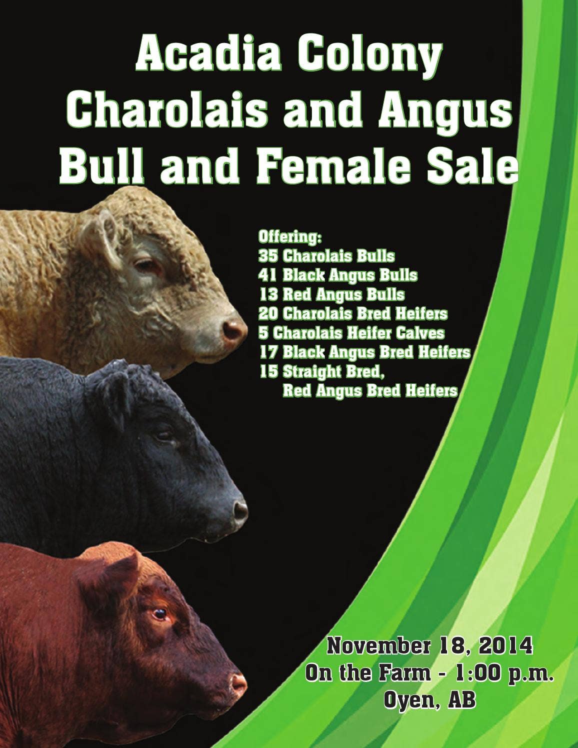 Acadia Colony Charolais and Angus Bull and Female Sale by Today's ...