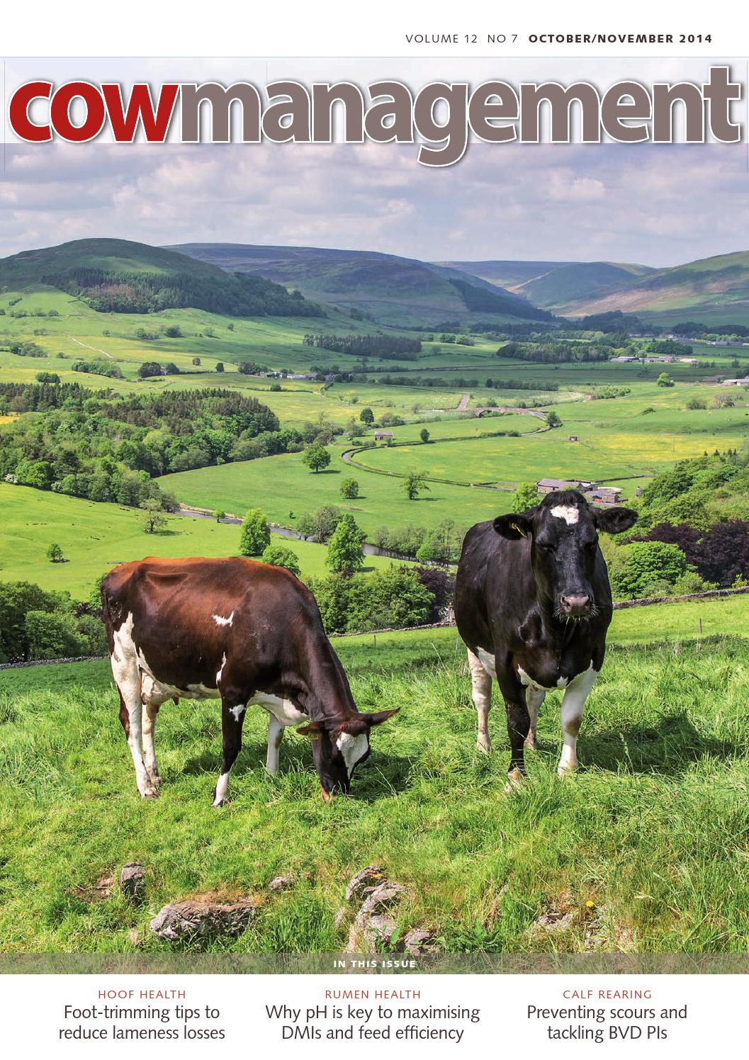 Cowmanagement UK october/november 2014 by CRV Uitgeverij/CRV Publishers ...