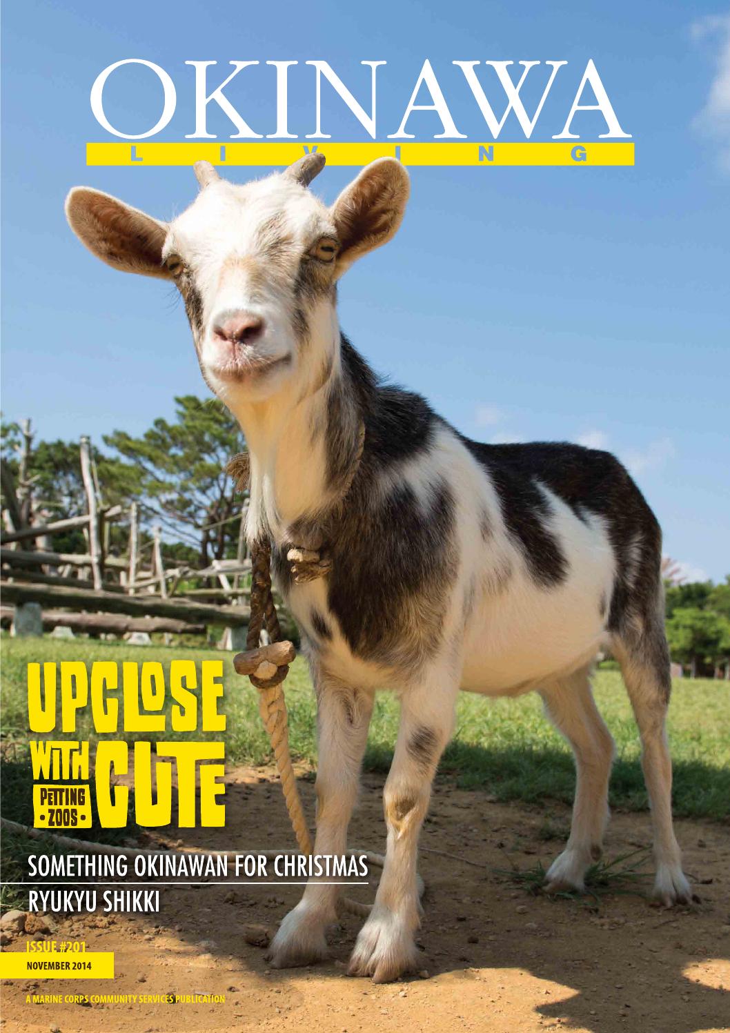 Okinawa Living Magazine by MCCS Okinawa - Issuu