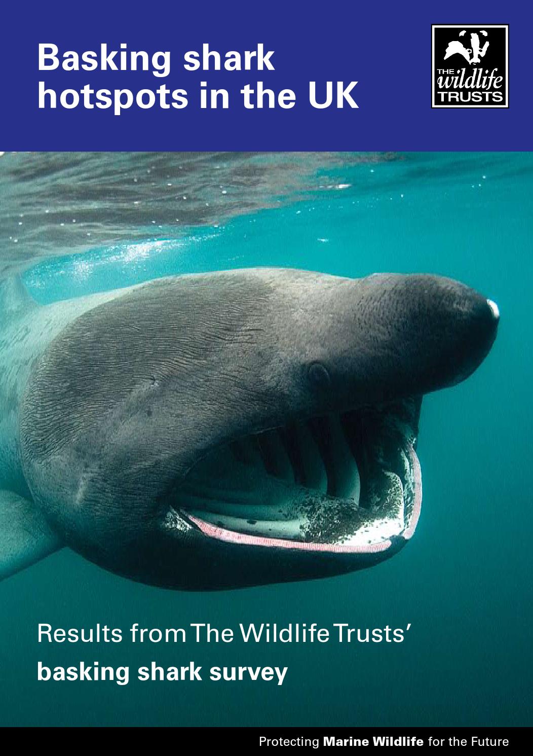 Basking shark hotspots in the UK by The Wildlife Trusts - Issuu