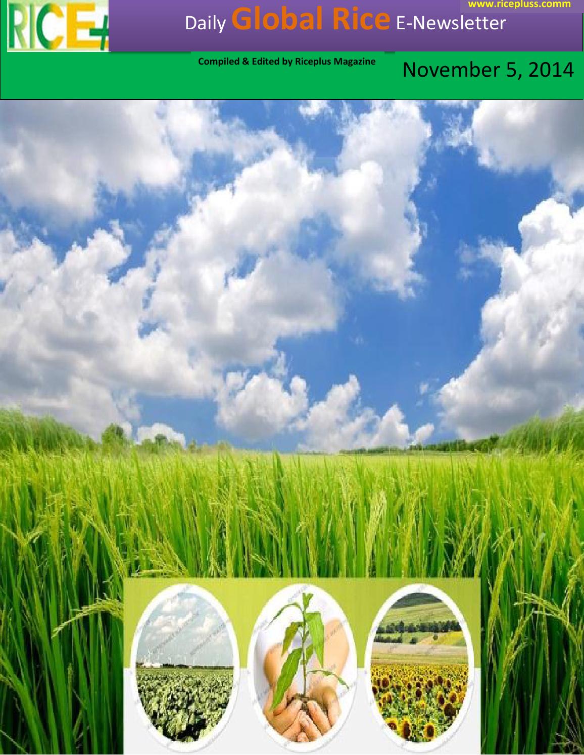 05th november 2014 daily global rice e newsletter by riceplus magazine ...