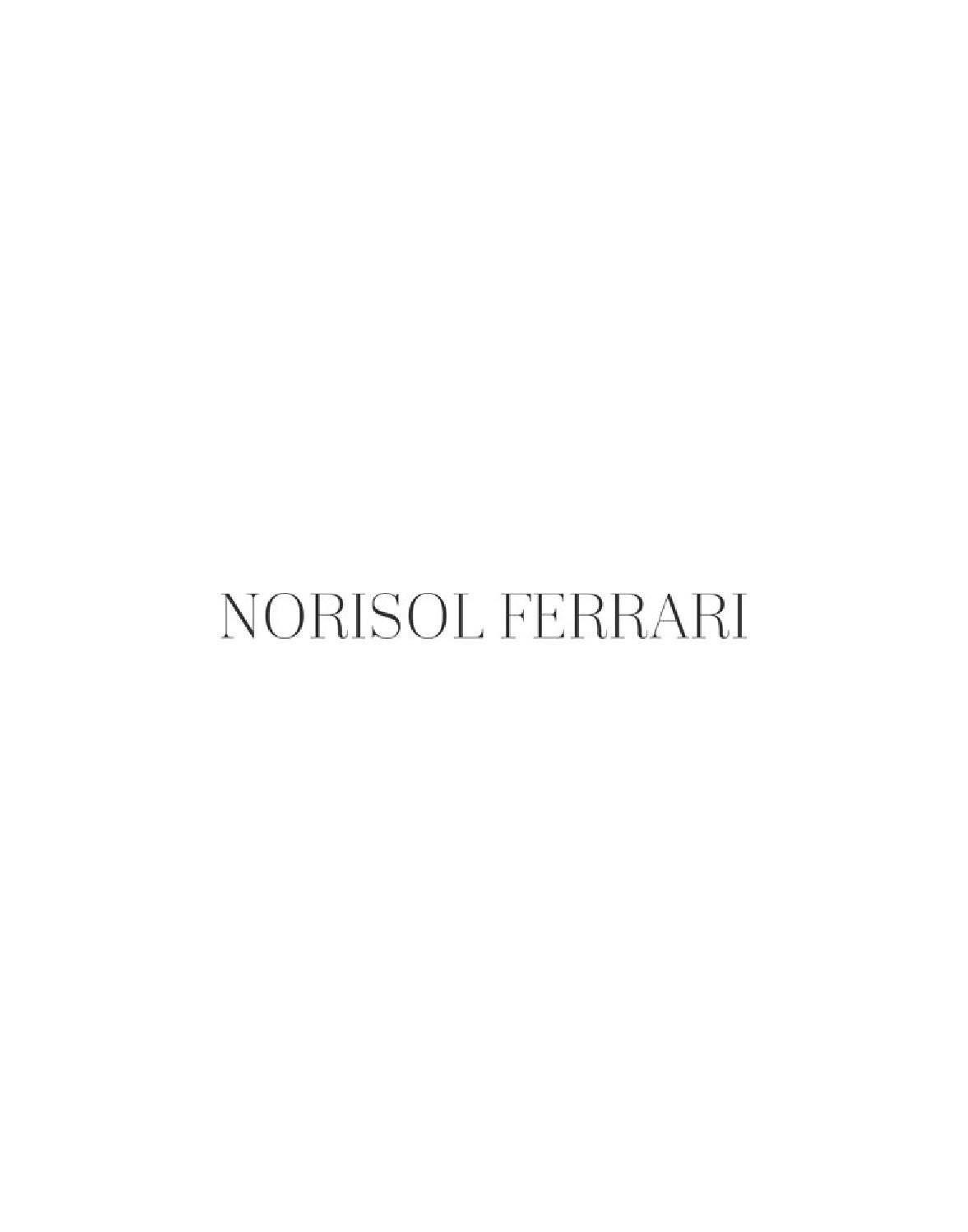 Campaign book by Norisol Ferrari - Issuu