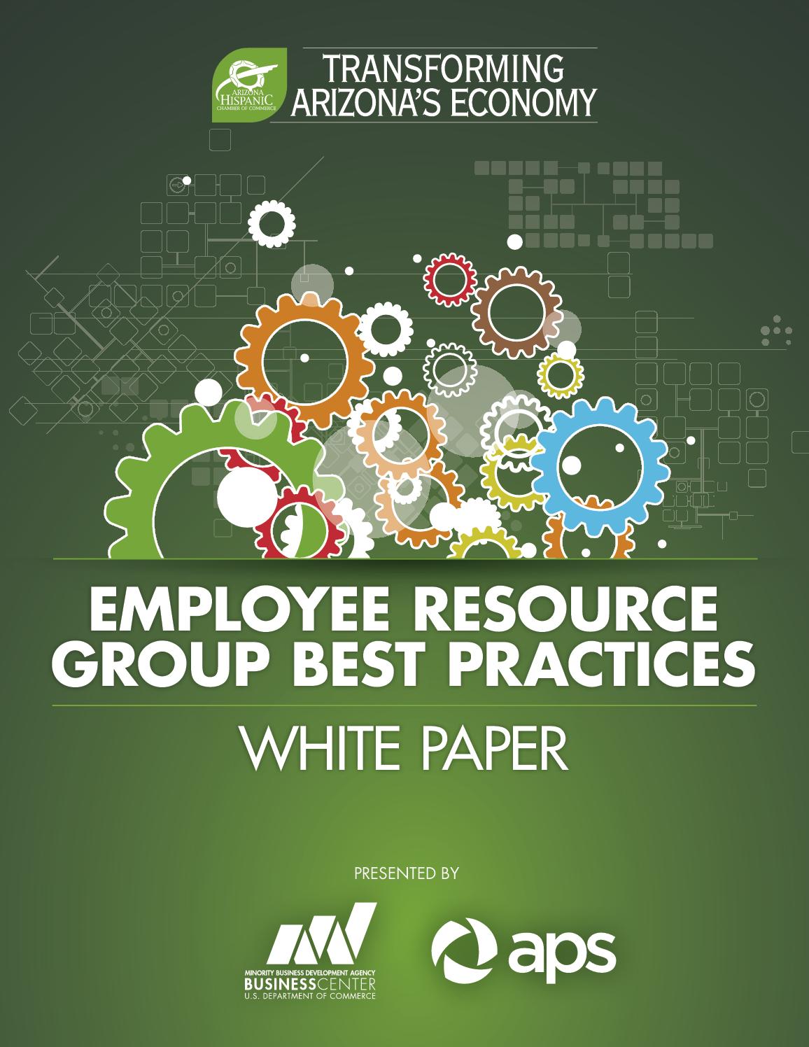 2014 ERG Best Practices White Paper by ARIZONA HISPANIC CHAMBER OF ...