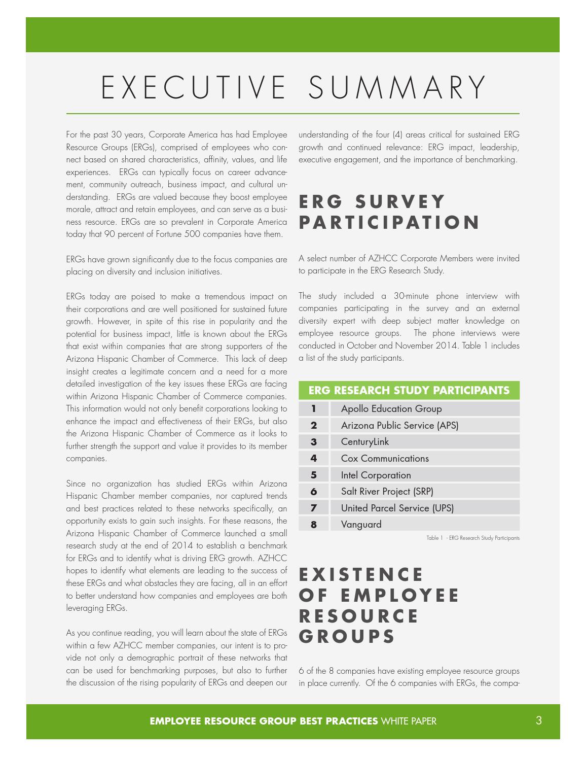 2014 ERG Best Practices White Paper by ARIZONA HISPANIC CHAMBER OF ...