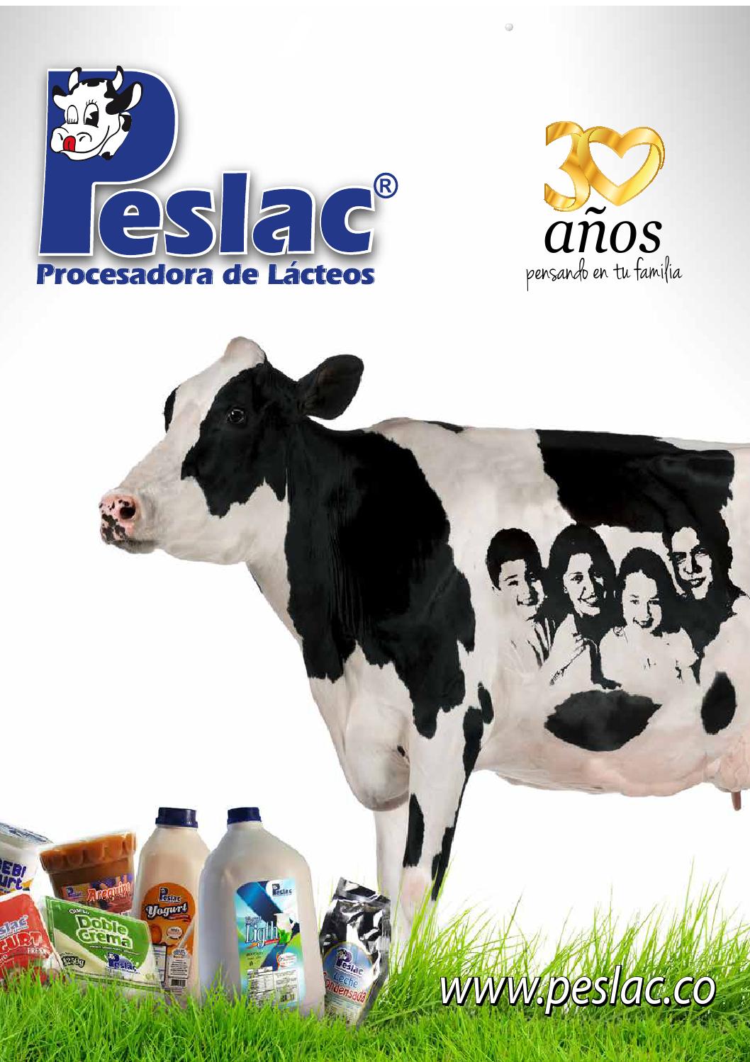 Catalogo peslac vendedores by ACTIVA BRANDING Diseño y Comunicaciones ...