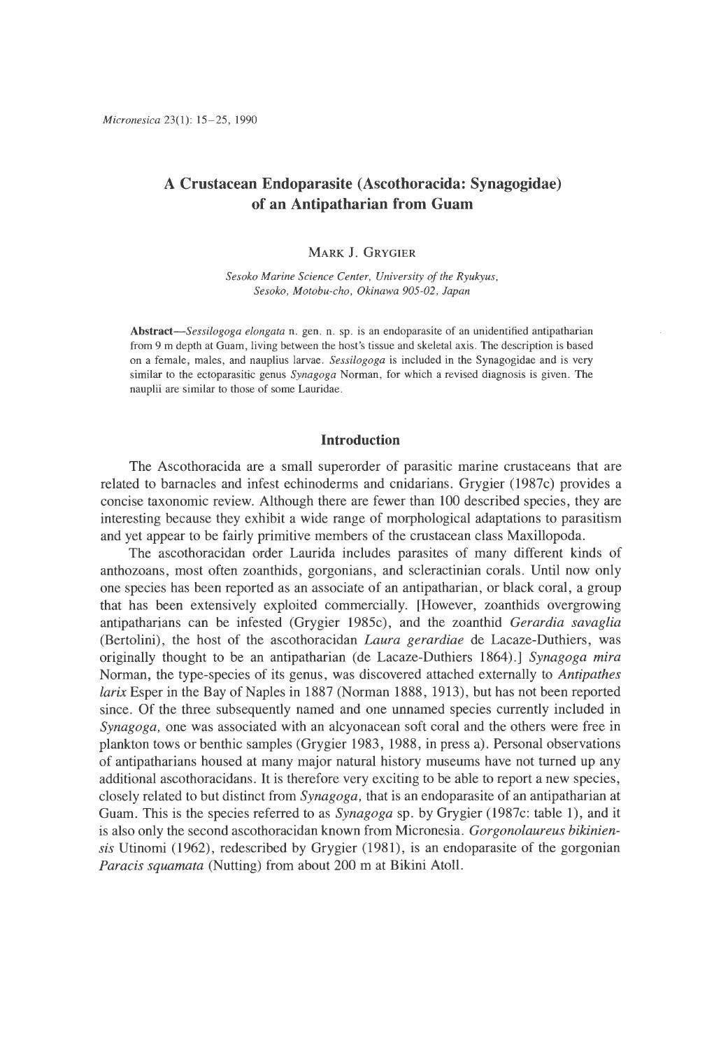 A Crustacean Endoparasite (Ascothoracida: by MARC - Issuu