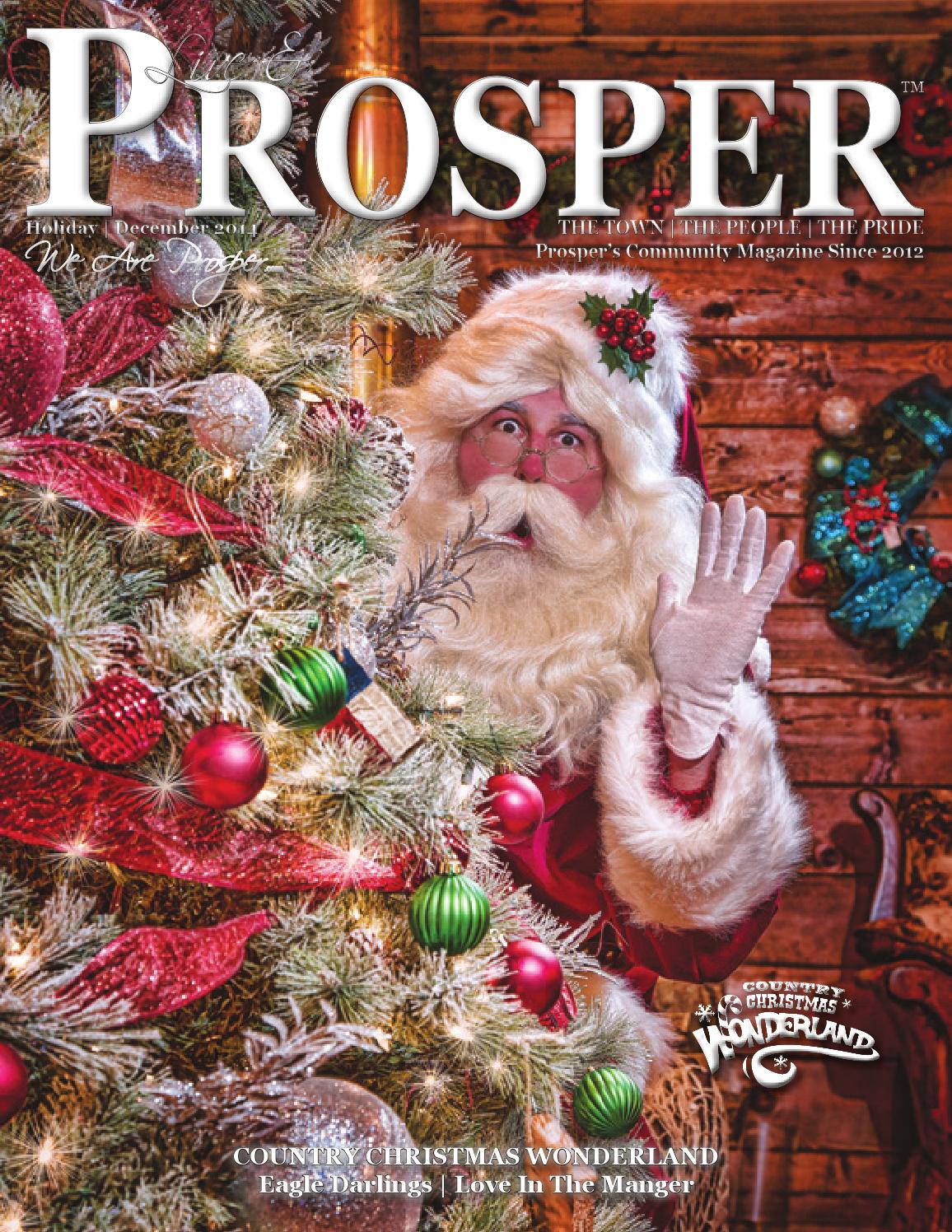 Prosper Magazine - December 2014 by Cedarbrook Media Group, LLC - Issuu