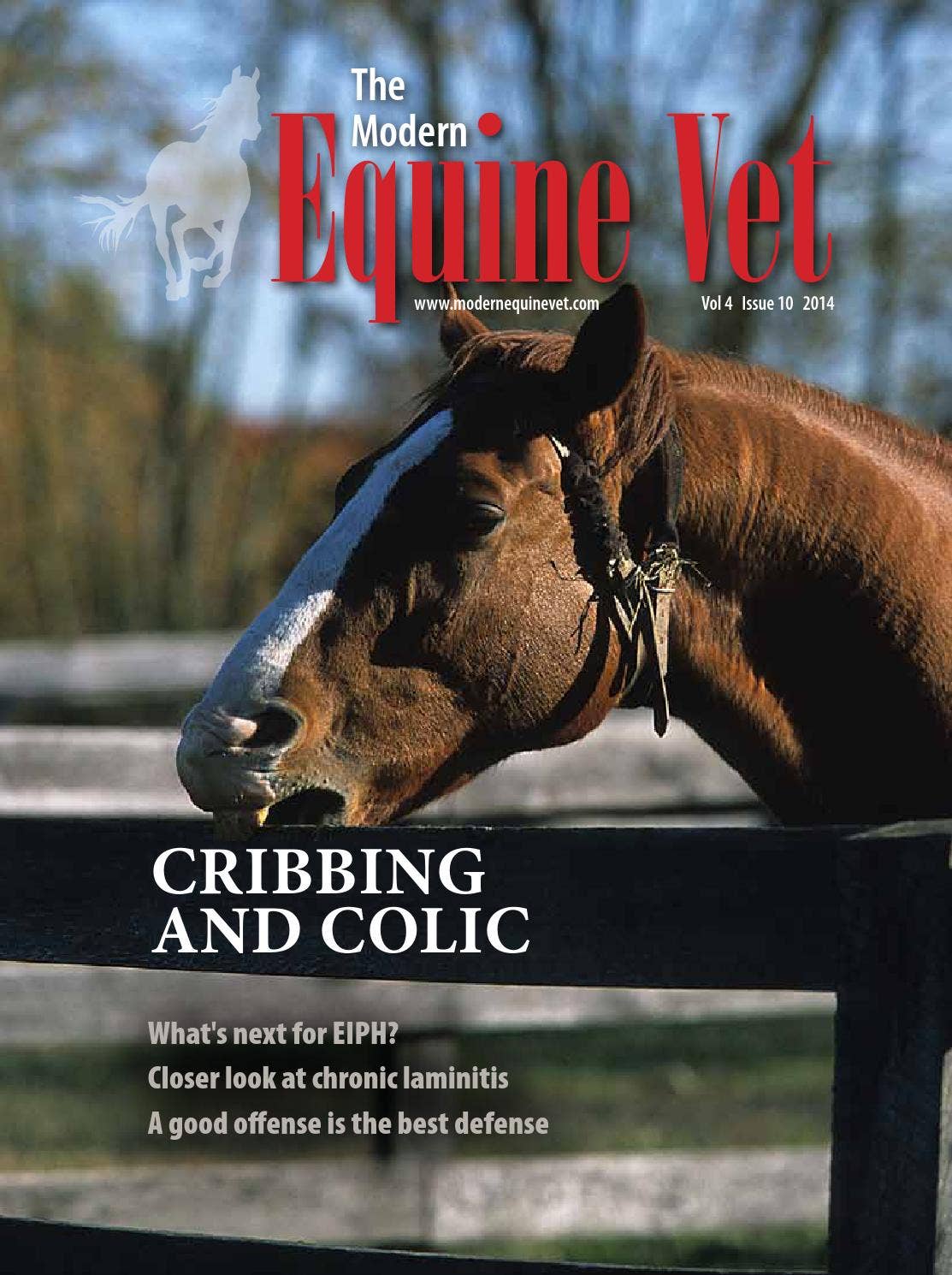 Equinevet nov2014 f by The Modern Equine Vet - Issuu