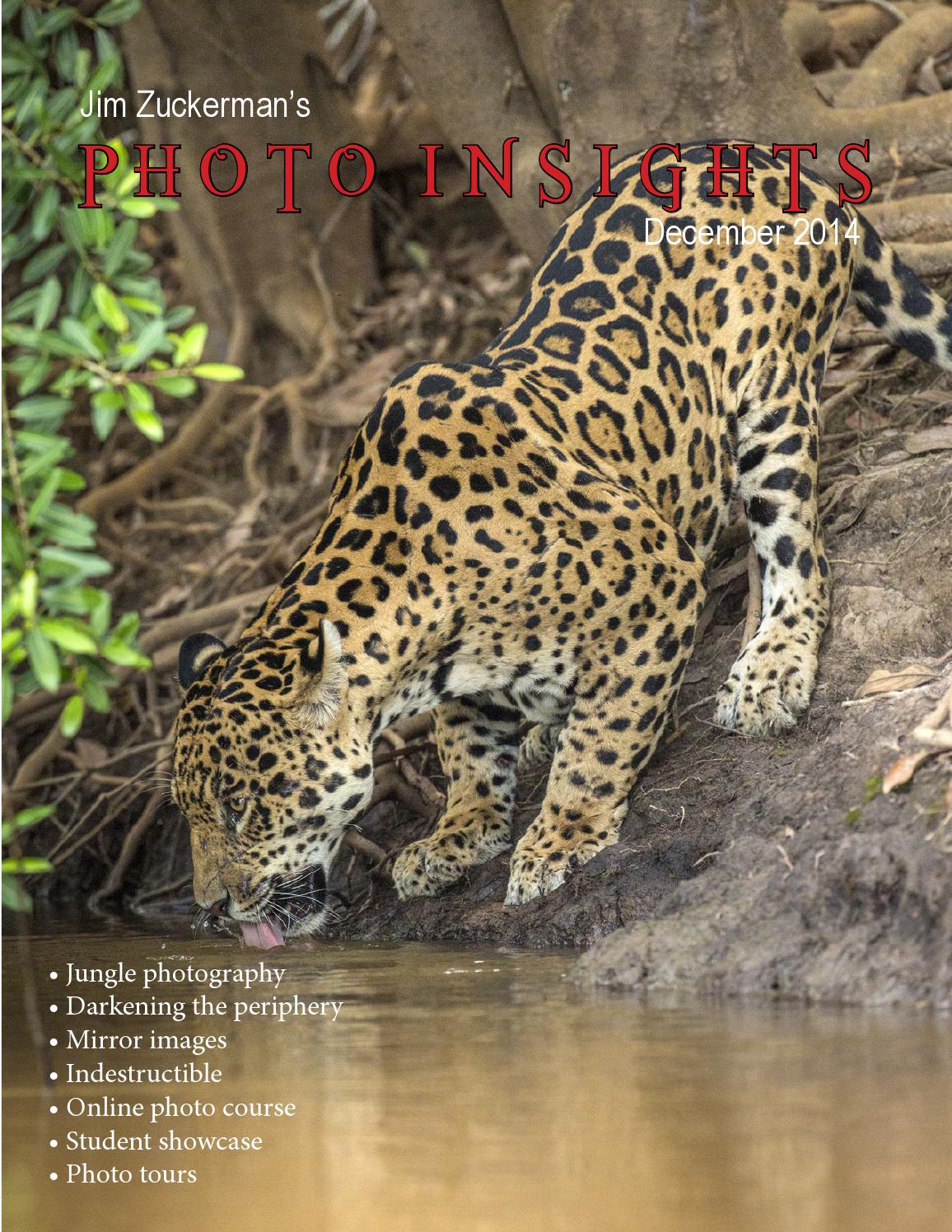Photo insights december '14 by Jim Zuckerman photography - Issuu
